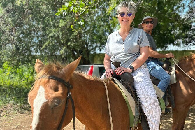 Beach Horseback Riding Adventure in Punta Cana - Who Should Consider This Tour?