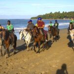 Beach Horseback Riding and Swim Horse in Puerto Plata - What Sets This Tour Apart