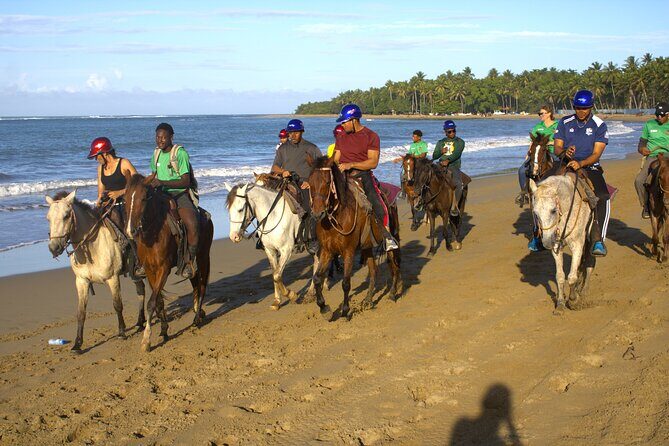 Beach Horseback Riding and Swim Horse in Puerto Plata - What Sets This Tour Apart
