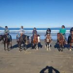 Beach Horseback Riding from the Port of Ensenada - What to Expect: A Well-Organized, Relaxing Experience