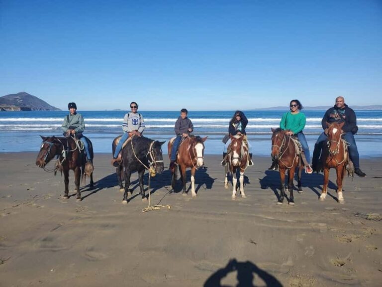 Beach Horseback Riding from the Port of Ensenada - What to Expect: A Well-Organized, Relaxing Experience