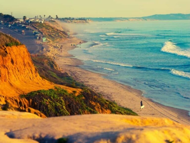 Beach Sauna Experience, Aromatherapy & Cold Plunge - Why Choose This Experience?