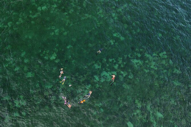 Beach Snorkeling Adventure in Lauderdale by the Sea - Who Will Enjoy This Tour?