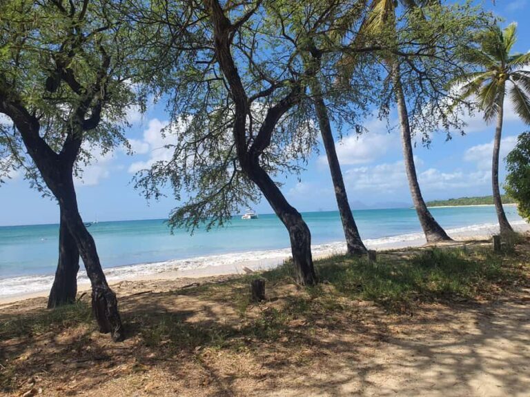 Beach tour and visit to a rum distillery in Le Marin with driver - Practical Details and What to Know