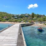 Beachcombing in Paradise South Caribbean V.I.P Tour - What Travelers Say and Why It Matters