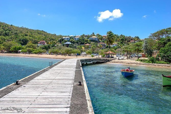 Beachcombing in Paradise South Caribbean V.I.P Tour - What Travelers Say and Why It Matters