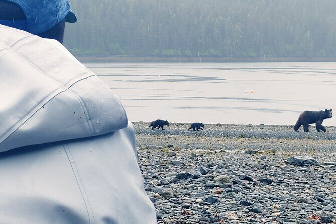 Bear Viewing at Waterfall Creek - Itinerary Breakdown