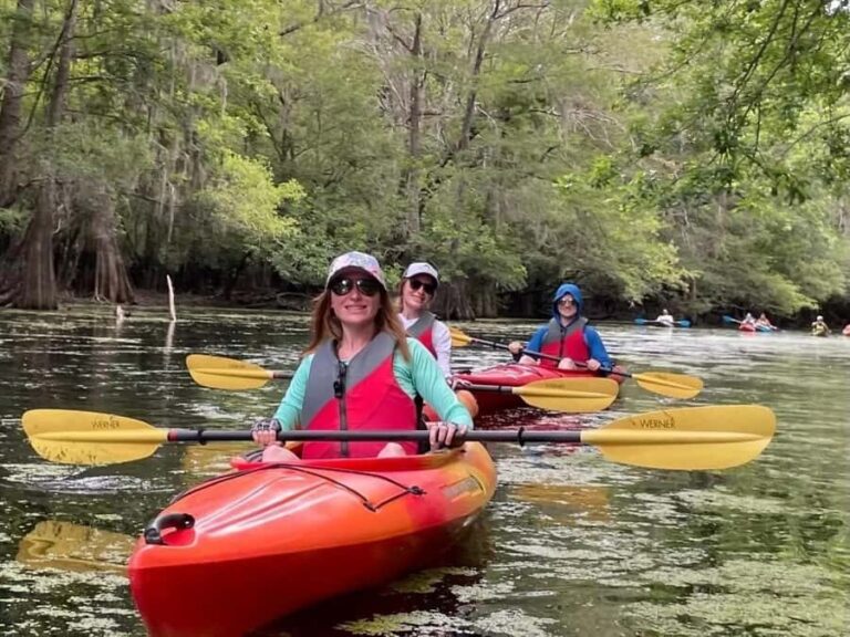 Beaufort: Guided Kayak Tour with Wildlife Viewing - Practical Details and Value