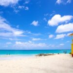 Beautiful Coastal Sightseeing Tour of Barbados - What Makes This Tour Stand Out
