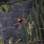 Beauty of Ubud, Rice Terrace, Temple, Monkey Forest, Waterfall - The Sum Up