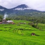Beauty Of West Bali Tour (Private and All Inclusive) - What’s Included and What You Should Bring