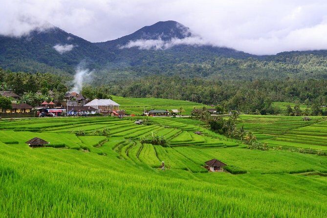 Beauty Of West Bali Tour (Private and All Inclusive) - What’s Included and What You Should Bring