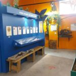 Becancour: Biodiversity Museum Visit - Exploring the Biodiversity Museum: What You’ll Experience