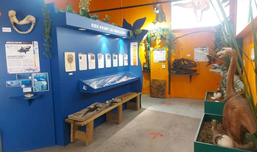 Becancour: Biodiversity Museum Visit - Exploring the Biodiversity Museum: What You’ll Experience