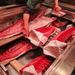 Behind the Scenes Toyosu Fish Market and Luxury Sushi Dining Tour - The Sum Up