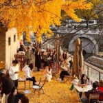 Beijing 3 Day Private Tour All Inclusive and 1 Peking Duck Meal - Final Thoughts: Is This Tour Right for You?