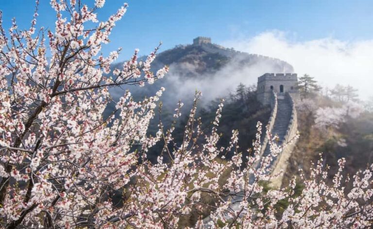 Beijing: Forbidden City and Great Wall Tour - Why This Tour Offers Great Value