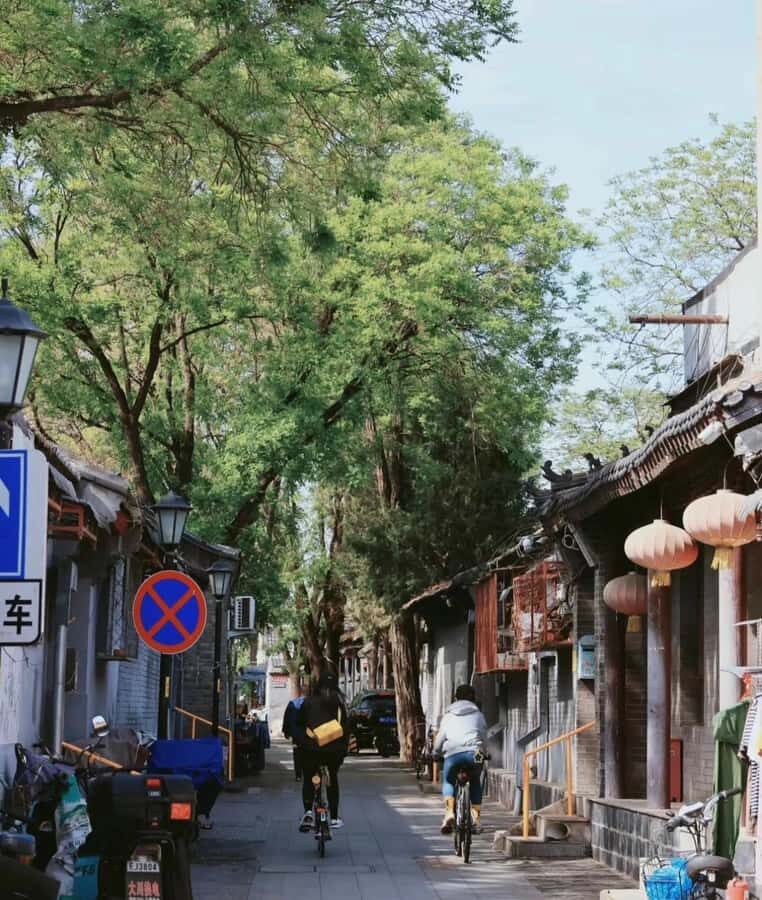 Beijing: Forbidden City Bike Tour with Jingshan Park Entry - What to Expect and Practical Tips