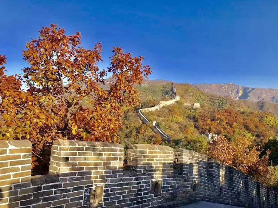 Beijing: Mutianyu Great Wall Private Tour - Why Choose This Tour?