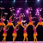Beijing Red Theater Acrobatic Show with Private Transfer Service - Who Should Sign Up for This Tour?