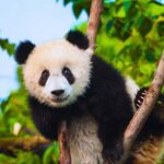 Beijing: Summer Palace Guided Tours & Top Park Combos - Who Should Consider This Tour?