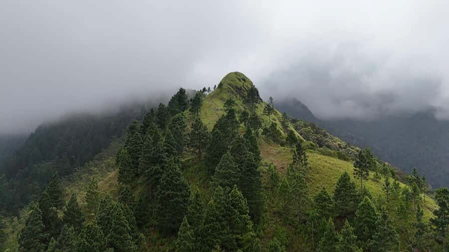 Belihuloya: Three Peaks Trail Guided Hike with Meals - The Itinerary: A Deep Dive into the Day’s Adventure