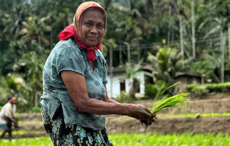 Belihuloya Village Tour with Lunch - Exploring the Landscape: What You’ll See and Feel