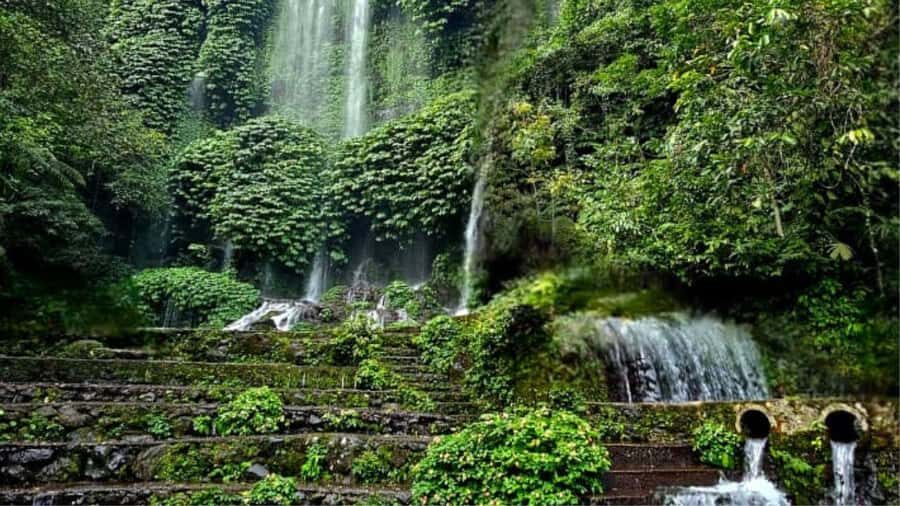 Benang Kelambu: Authentic Lombok Rice Field & Waterfall Tour - Practical Details & Value