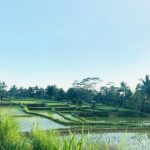 Benang kelambu waterfall and benang stokel waterfall lombok - An In-Depth Look at the Tour Experience