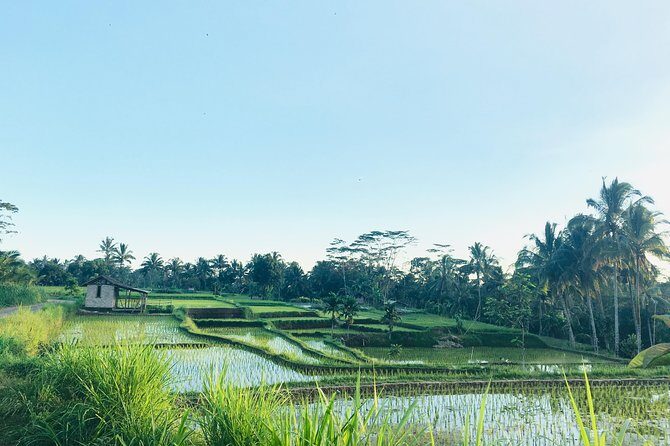 Benang kelambu waterfall and benang stokel waterfall lombok - An In-Depth Look at the Tour Experience