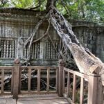 Beng Melea and Banteay Srei Temple Tour - What Travelers Are Saying