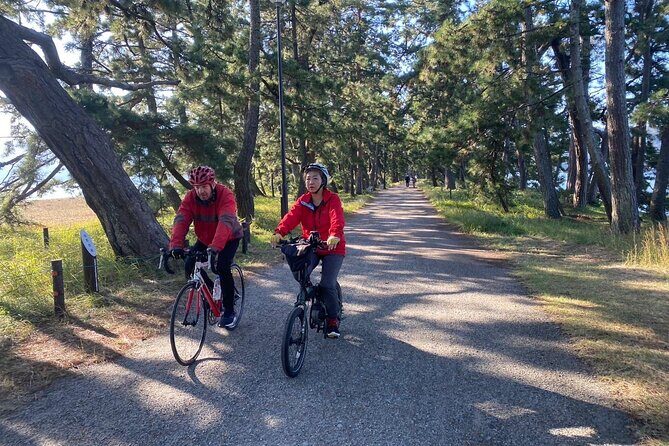 Bento and Bicycle Tour of Hidden Kyoto with Local Guides - The Practical Side: What You Need to Know