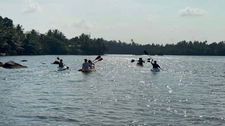 Bentota/Kalutara: Koggala Lake Boat Safari & Kayaking Tour - The Value of This Experience