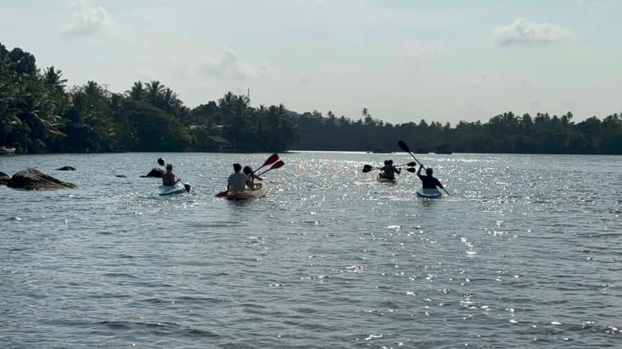 Bentota/Kalutara: Koggala Lake Boat Safari & Kayaking Tour - The Value of This Experience