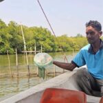 Bentota River Safari -Ahungalla/Bentota/Aluthgama/Kosgoda - The Itinerary Breakdown