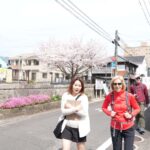 Beppu Backstreet Walking Tour - Who Should Consider This Tour?