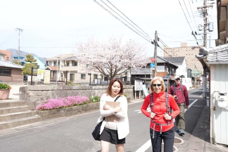 Beppu Backstreet Walking Tour - Who Should Consider This Tour?
