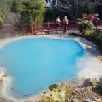 Beppu: Express Hells TourTop 3 Jigoku Highlights - Who Will Enjoy This Tour?