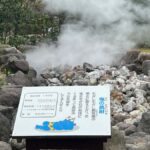 Beppu: Half-Day Beppu Jigoku Tour with Licensed Guide - The Itinerary in Detail: What You’ll Experience