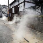 Beppu: Private Shore Excursion Beppu Hells & Sky Bridge - Introduction to Beppu’s Geothermal Wonders