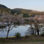 Beppu: Shidaka Lake Nordic Walking and Forest Bathing Tour - The Itinerary: A Closer Look