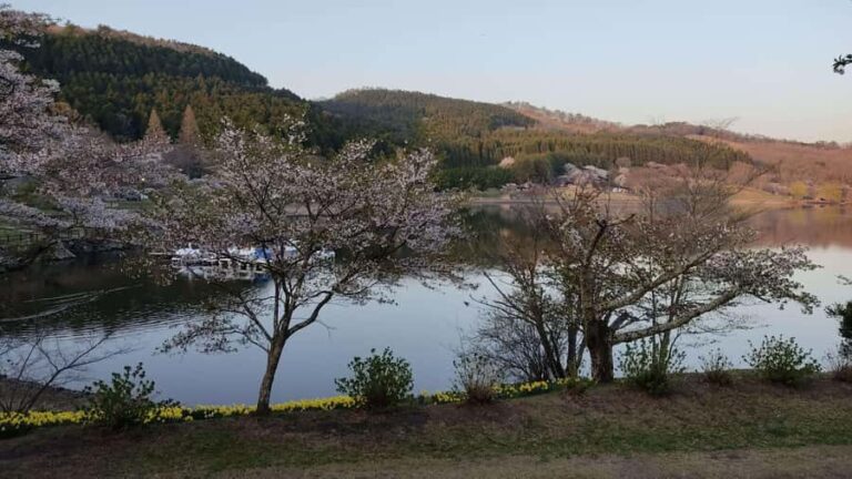 Beppu: Shidaka Lake Nordic Walking and Forest Bathing Tour - The Itinerary: A Closer Look