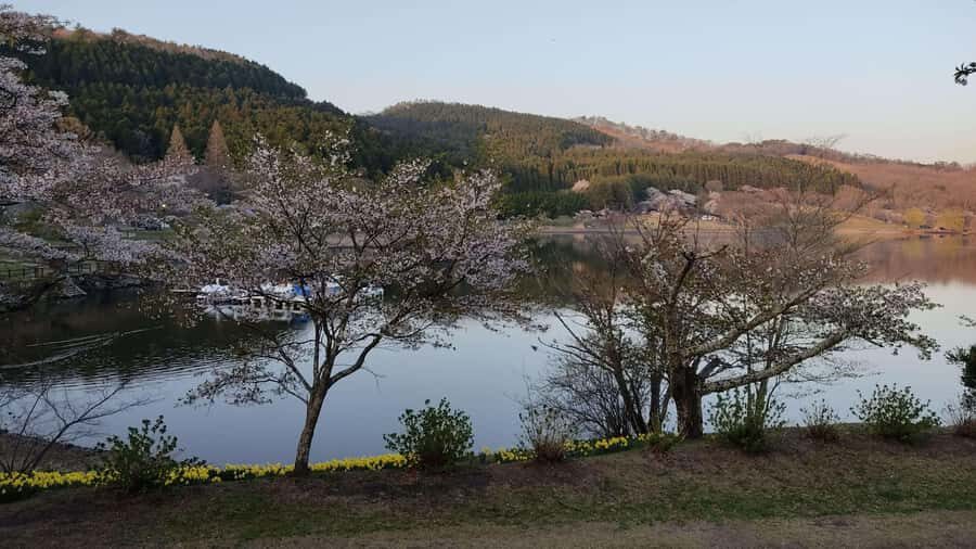 Beppu: Shidaka Lake Nordic Walking and Forest Bathing Tour - The Itinerary: A Closer Look