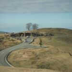 Beppus Best: African Safari and Beppu Hells Private Tour - What’s Included and What to Expect