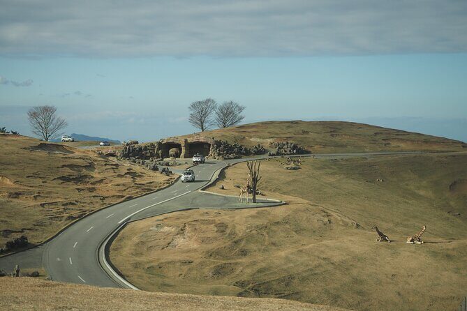 Beppus Best: African Safari and Beppu Hells Private Tour - What’s Included and What to Expect