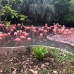 Bermuda Aquarium and Crystal Caves Admission - Practical Details: What You Should Know