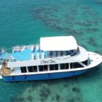 Bermuda Glass Bottom Boat Cruise - What Travelers Say About the Tour