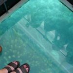 Bermuda Triangle Twilight Cruise - Price and Value Analysis