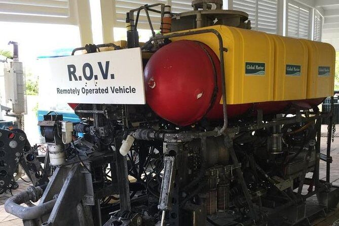 Bermuda Underwater Exploration Institute and Aquarium Adventure Day - The Itinerary: What You Can Expect