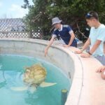 Bermudaful Half Island Tour - Why This Tour Works for You